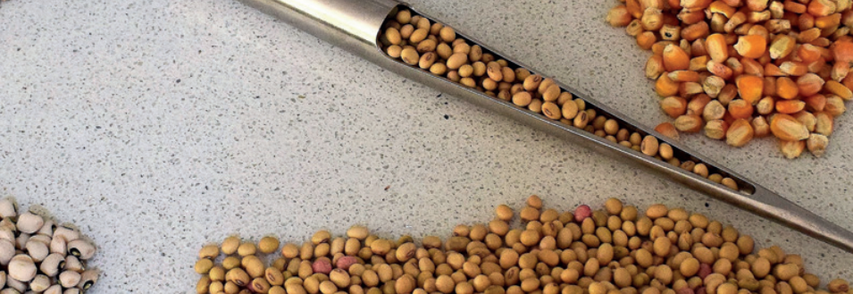 National Seed Road Map | Collaborative Seed Programme