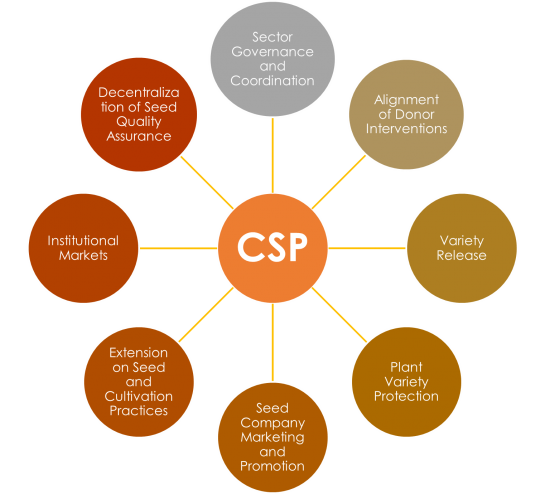 About | Collaborative Seed Programme