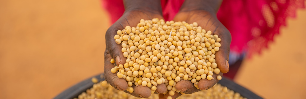 National Seed Platform: Adoption of Quality Seeds as a Tool for ...