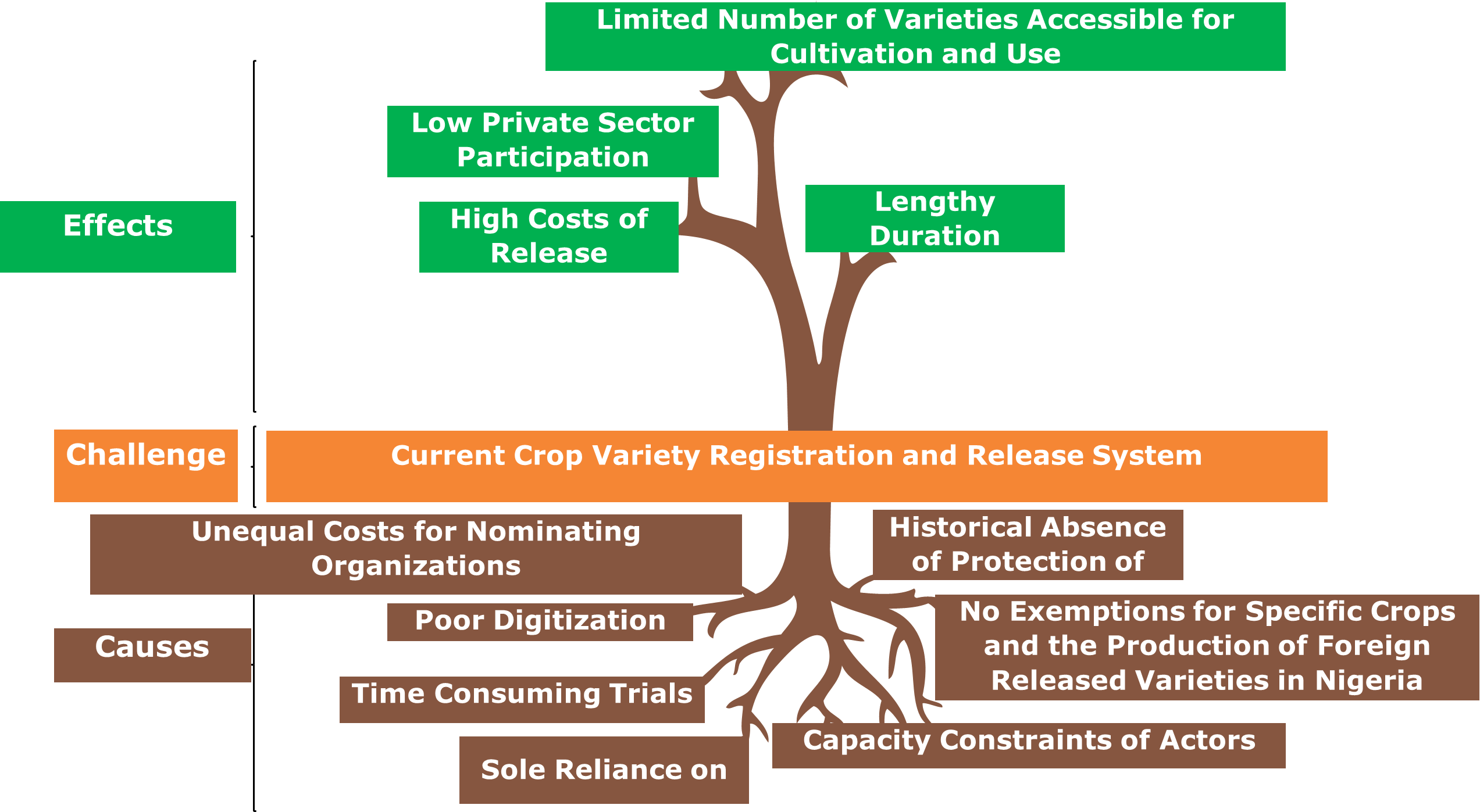 National seed platform: Enhancing seed access through innovative ...