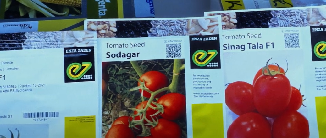 Video: Innovations in variety release in Nigeria to increase farmers ...